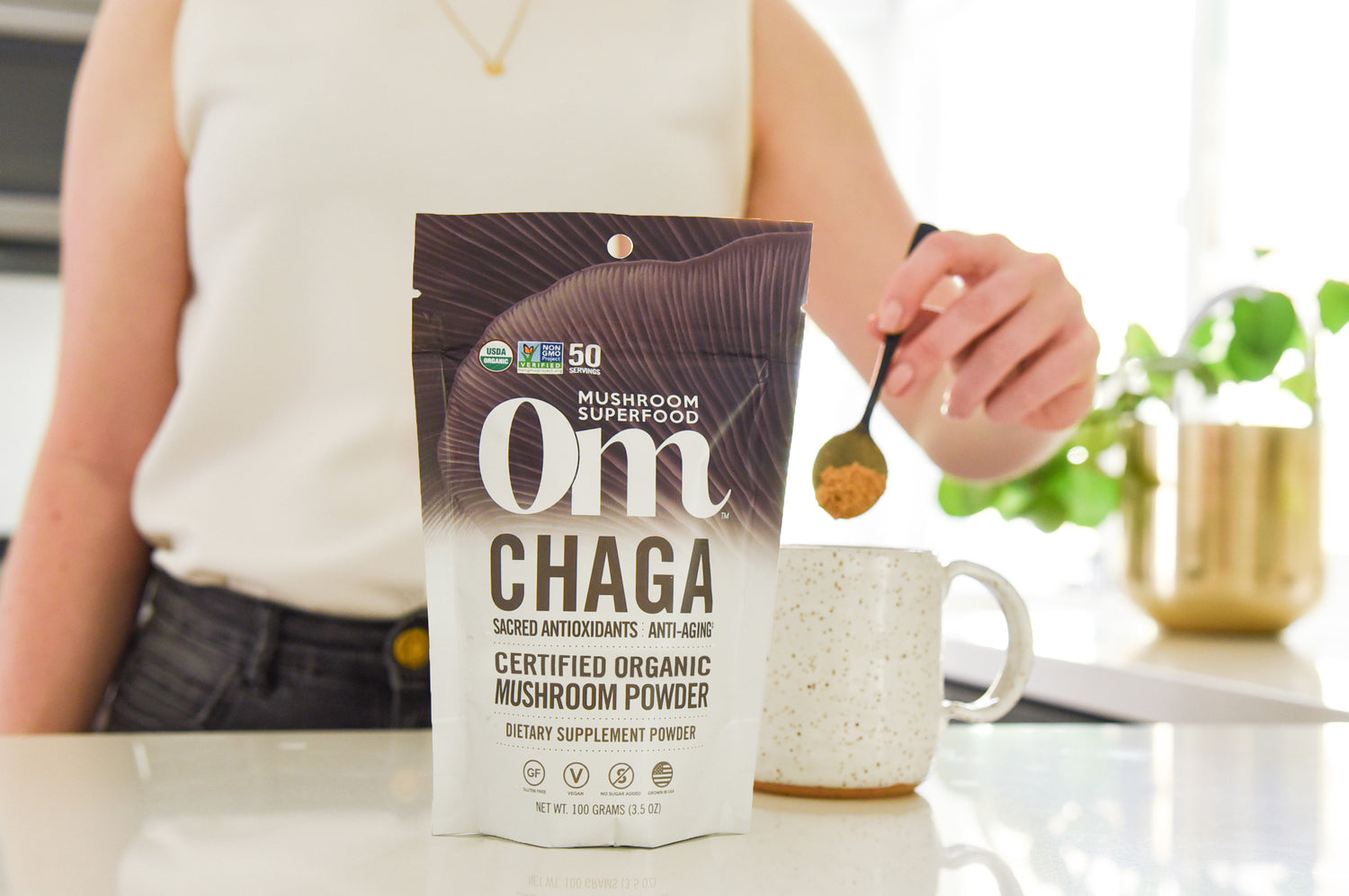 What Is Chaga Mushroom? Everything You Need to Know About the King of ...