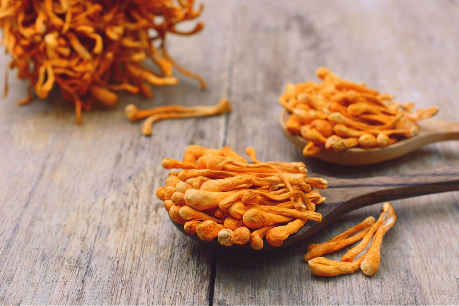 Your Ultimate Guide to Cordyceps Mushroom Benefits – Om Mushroom Superfood