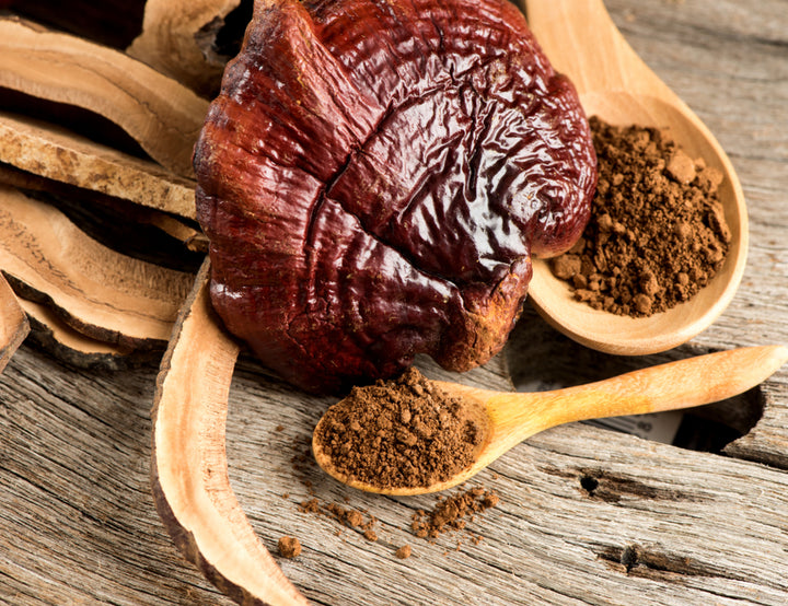 Om Master Blend Mushroom Powder | 10 Mushroom Complex – Om Mushroom ...