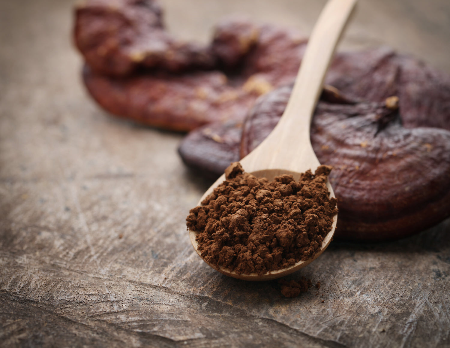 Adaptogen Powder: Benefits for Your Health & Wellness – Om Mushroom ...