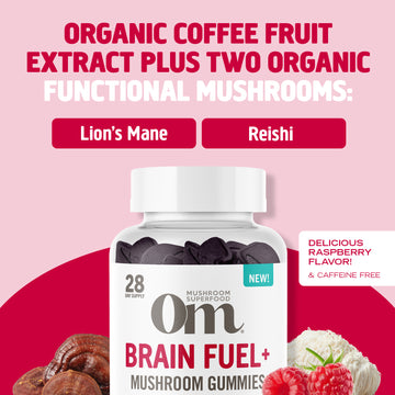 Brain Fuel+ Mushroom Gummies | Om Mushrooms – Om Mushroom Superfood