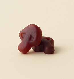 Master Blend Plant Protein Unsweetened Original – Om Mushroom Superfood