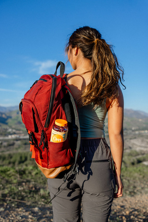 Master Blend Plant Protein Unsweetened Original – Om Mushroom Superfood