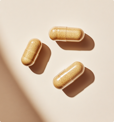 Master Blend Plant Protein Unsweetened Original – Om Mushroom Superfood