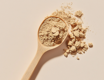 Mycelium: What Is It and Why Is It So Important? – Om Mushroom Superfood