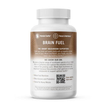 Buy Brain Fuel Mushroom Capsules Supplement | Om – Om Mushroom Superfood