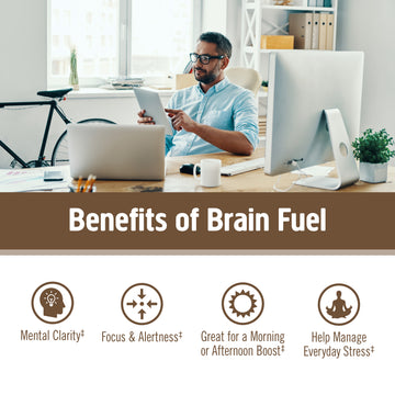 Buy Brain Fuel Mushroom Capsules Supplement | Om – Om Mushroom Superfood